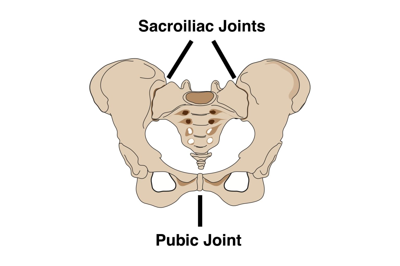 Pelvic Rotations, Part 1: The Roll-and-Reach Exercise – iRunFar