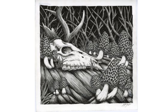 Kelly Halpin and the Art of Running – iRunFar