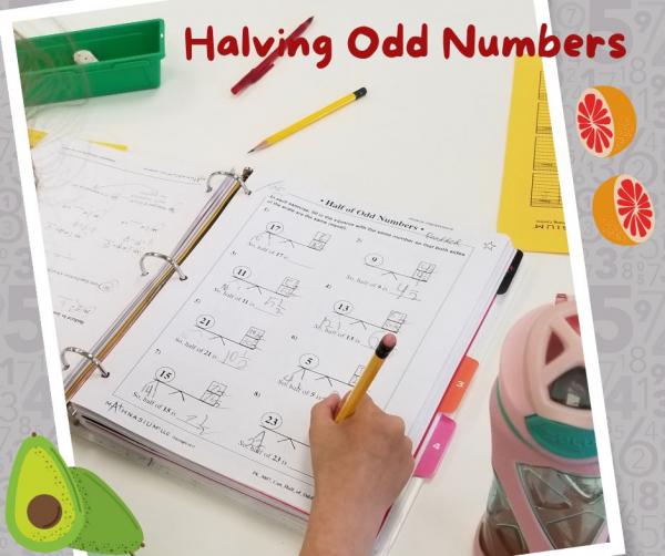MATHS HIDDEN TRAP: THE DANGER OF IGNORING HALVING ODD NUMBERS