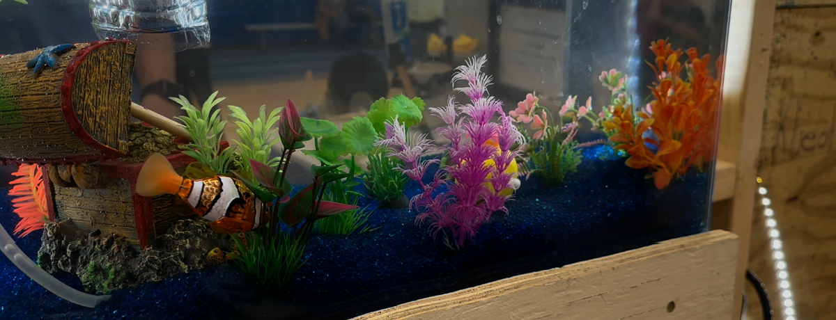 Join our annual Rube Goldberg Machine Contest® - Rube Goldberg Institute