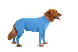 The Shed Defender: $70K Per Month Selling Onesies For Dogs - Starter