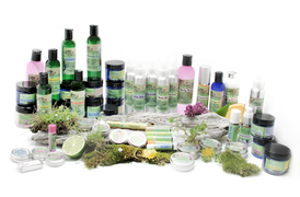 How I Started A $6K/Month Plant-Based Organic Body Care Brand