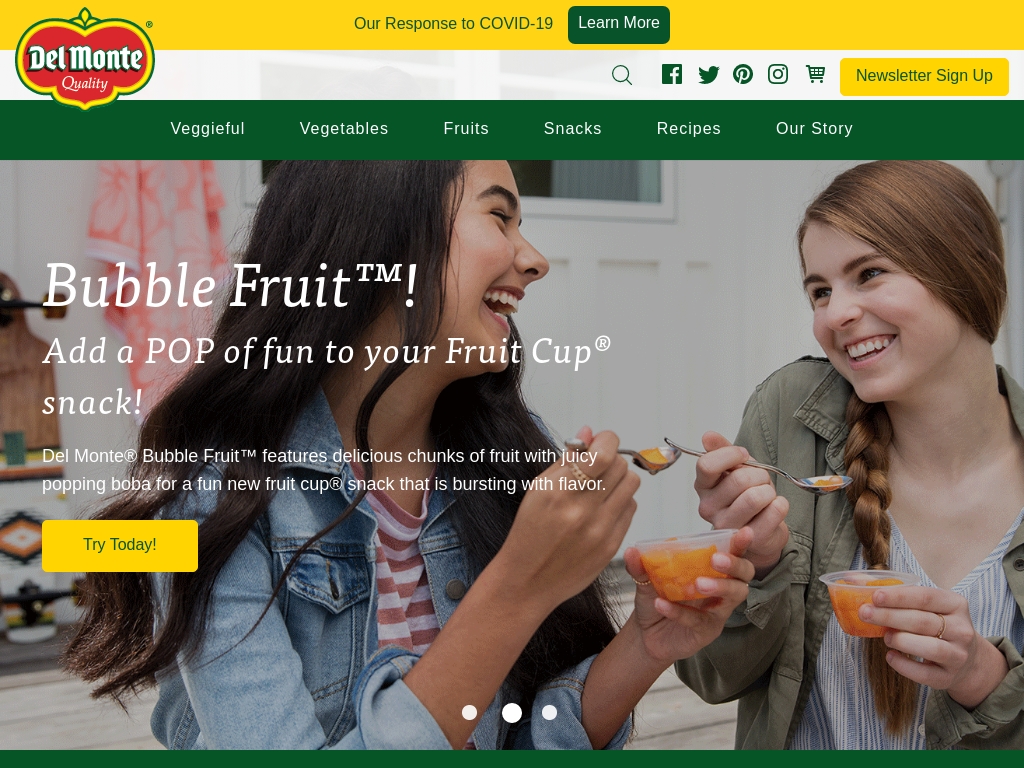 Start A Fruit Snacks Business - Business Ideas - Starter Story