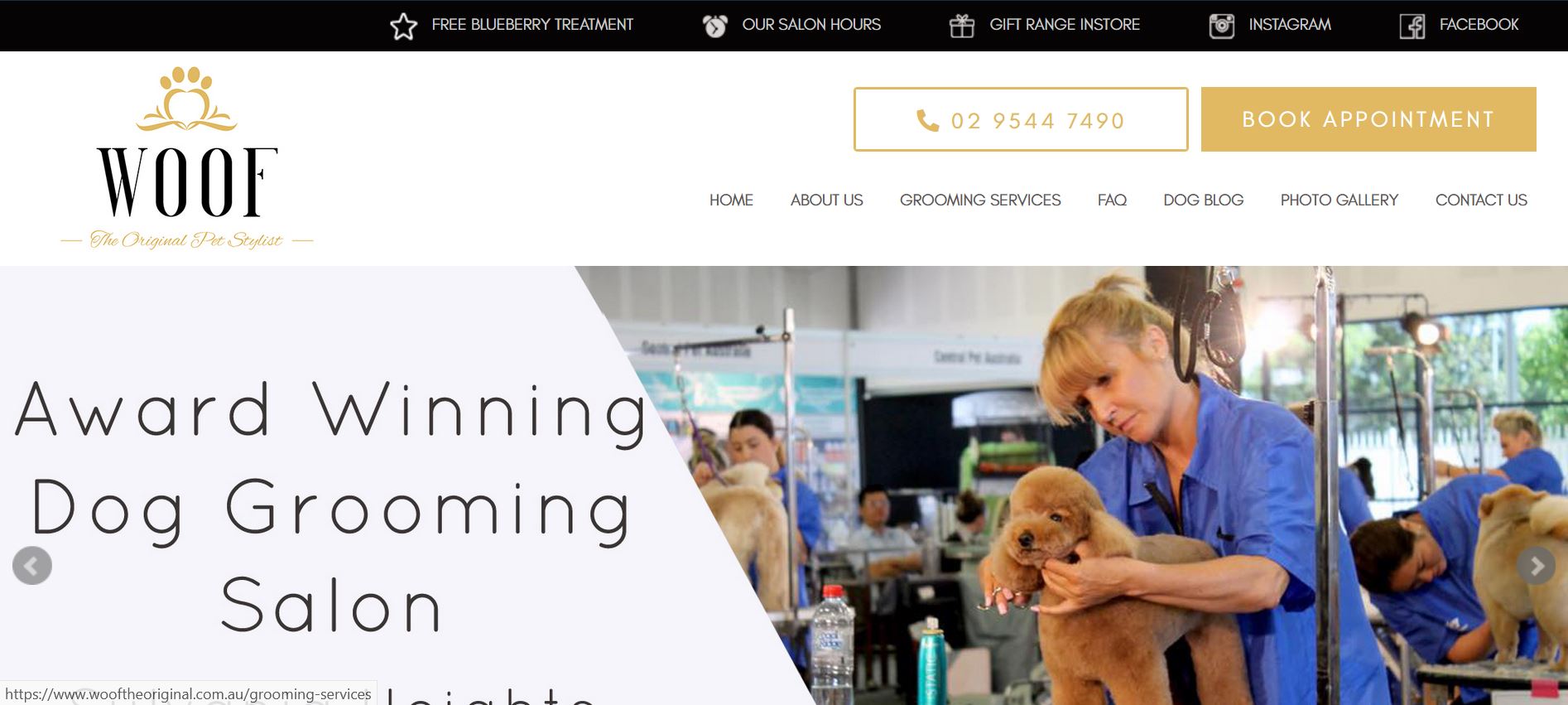 16 Best Dog Grooming Web Designs To Inspire You [2024] - Starter Story