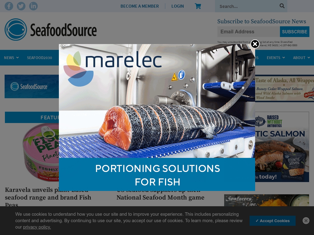 45 Profitable Fishing Business Ideas (Ultimate List) - Starter Story