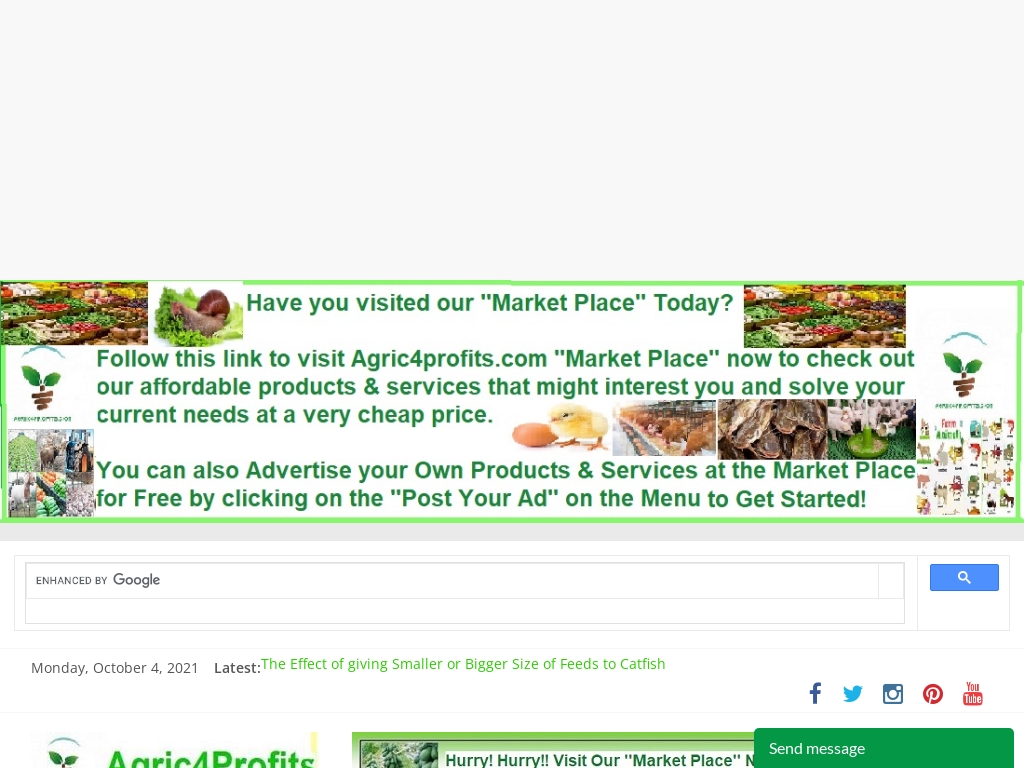 45 Profitable Fishing Business Ideas (Ultimate List) - Starter Story