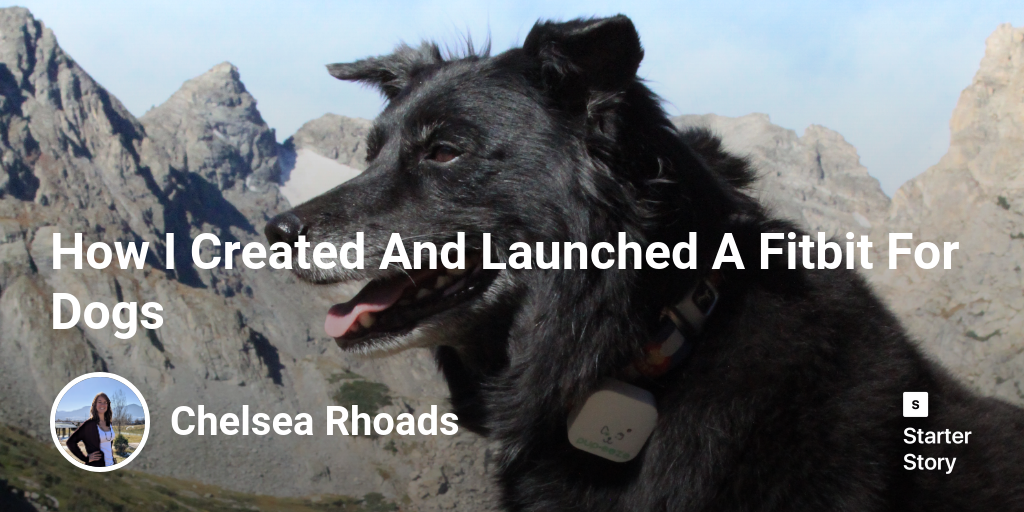 How I Created And Launched A Fitbit For Dogs - Starter Story
