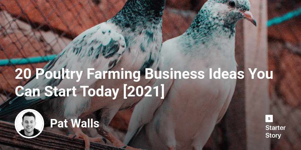 20 Poultry Farming Business Ideas You Can Start Today [2024] - Starter