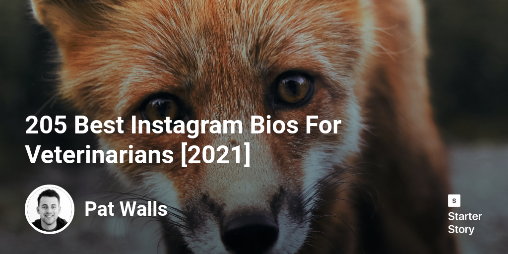 205 Best Instagram Bios For Veterinarians [2024] - Starter Story