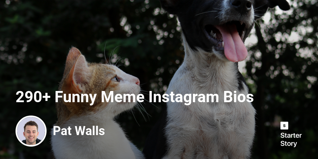 290+ Funny Meme Instagram Bios - Starter Story