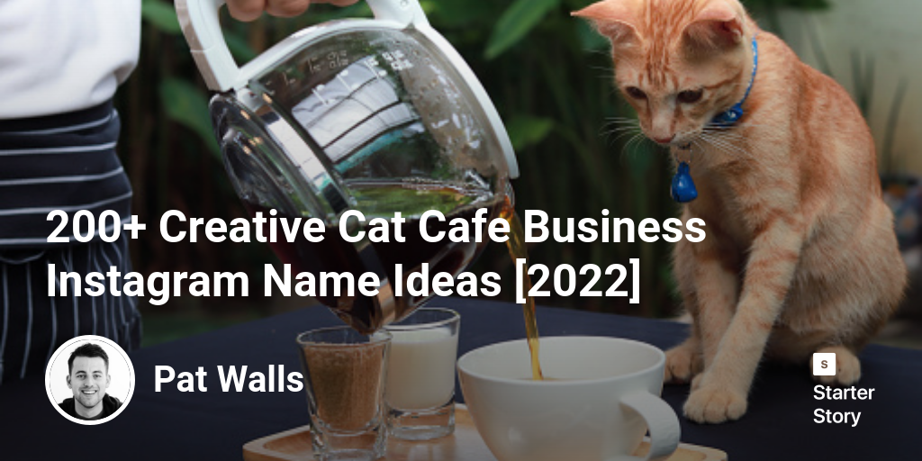 200+ Creative Cat Cafe Business Instagram Name Ideas [2024] - Starter