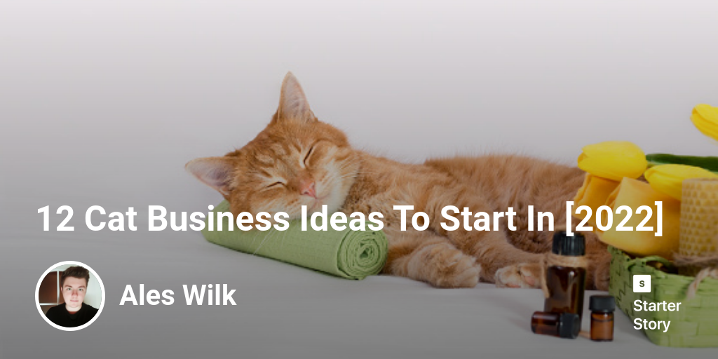 12 Cat Business Ideas To Start In [2024] - Starter Story
