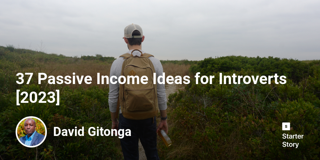 36 Passive Income Ideas for Introverts [2024] - Starter Story
