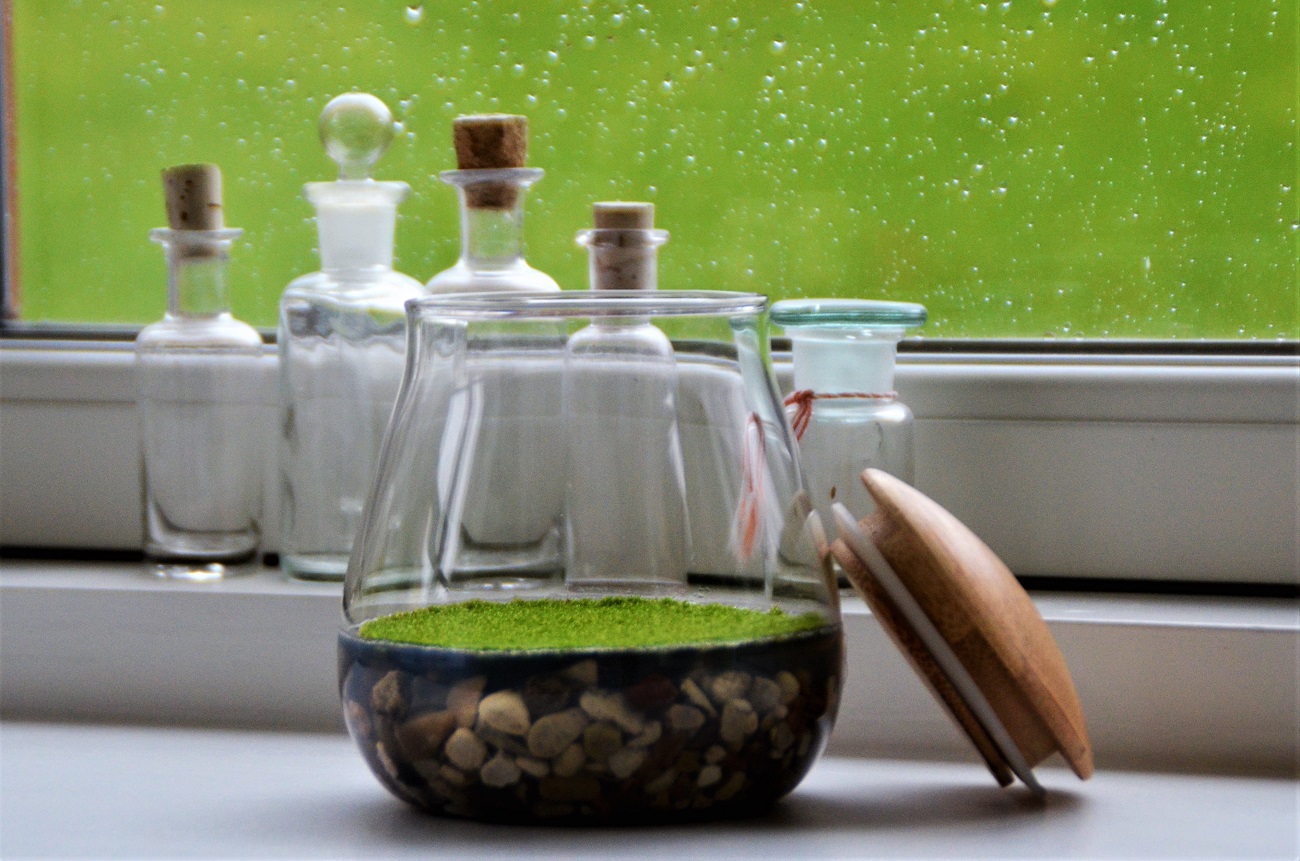 How Two Scientists Created A Natural Air Freshener From Moss - Starter