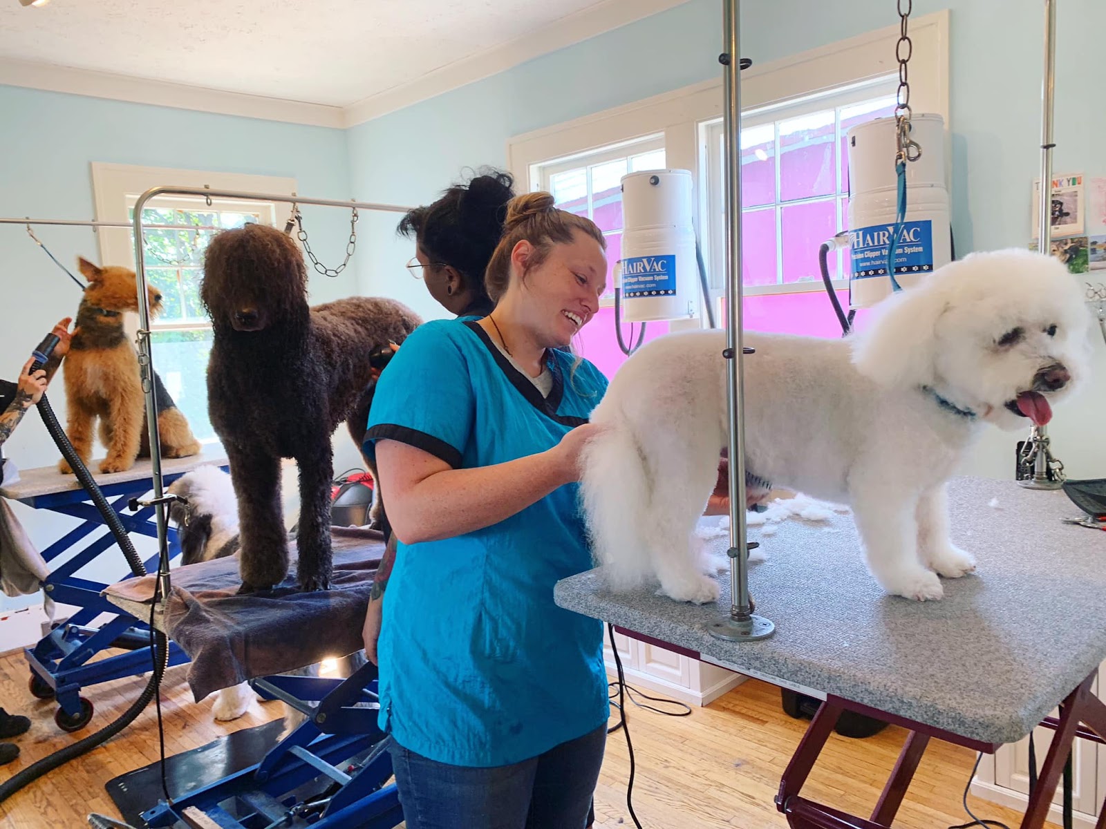 How I Started A $20K/Month Pet Spa That Provides A More Comfortable