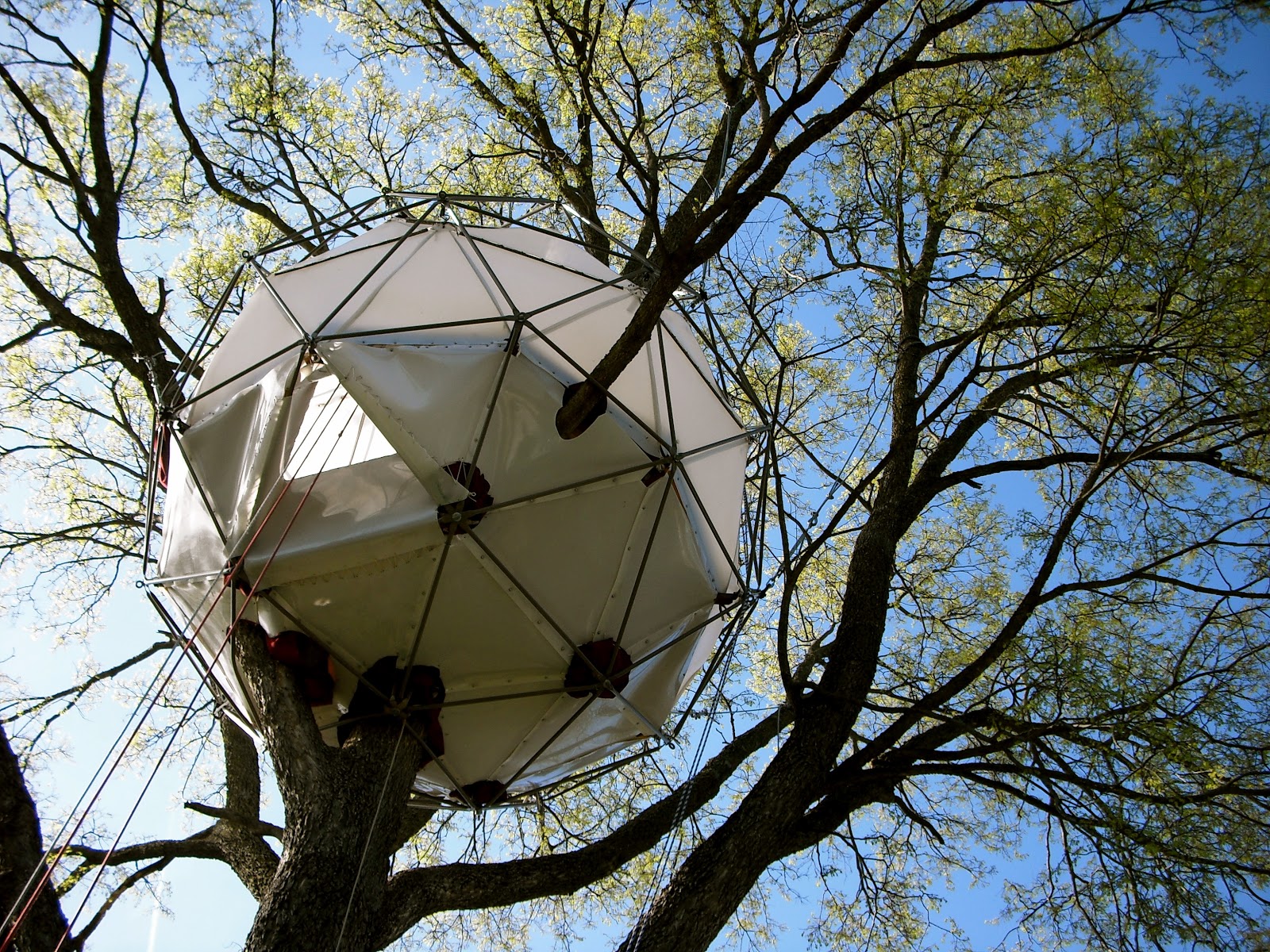 How I Started A $63K/Month Custom Built Treehouse Business And Got