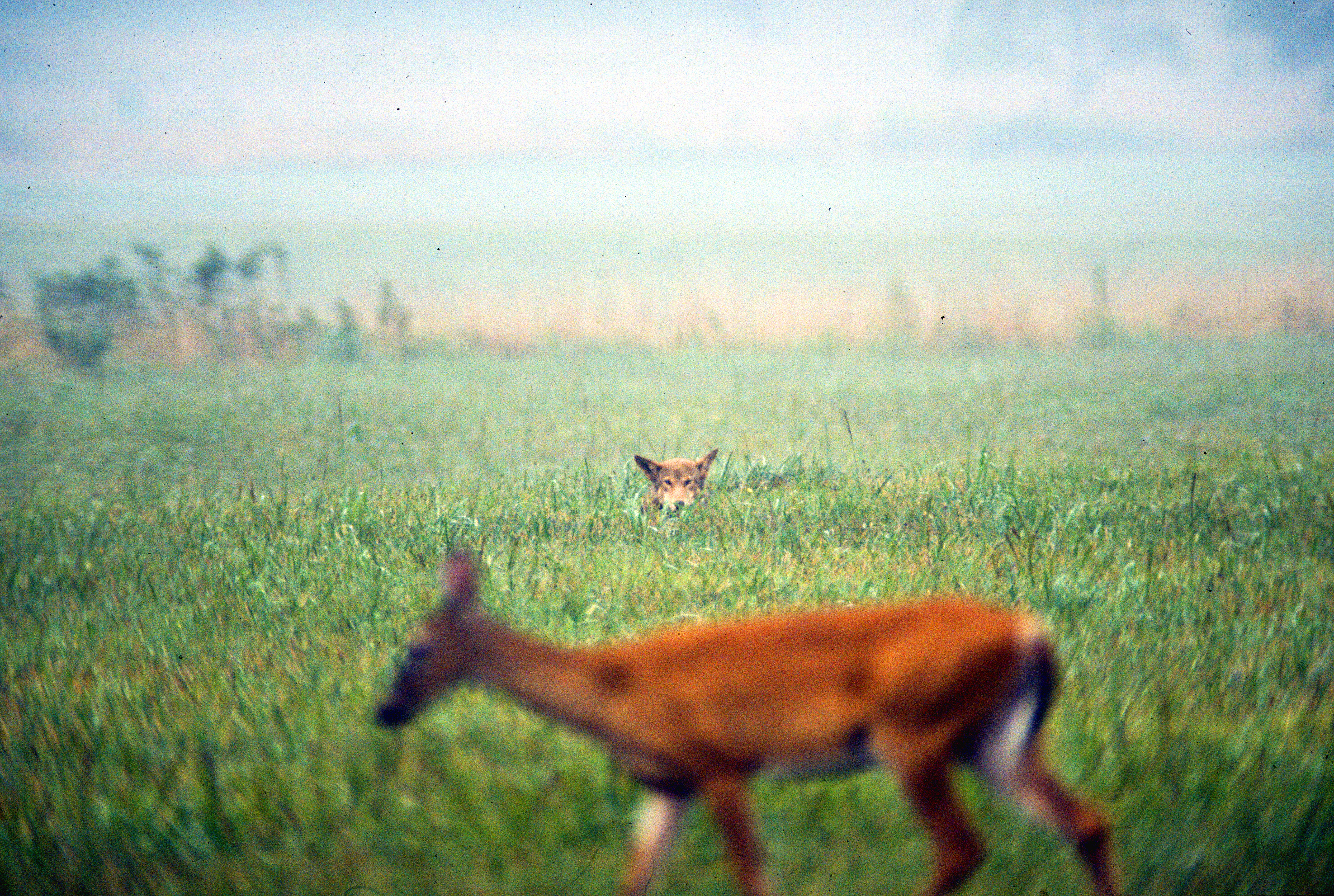 Red Alert - Stories by weather.com | The Weather Channel