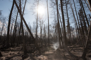 Hold the Fort - Stories by weather.com | The Weather Channel