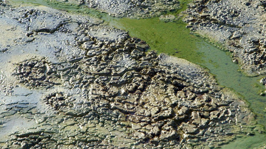 Lake of Danger - Toxic Lake