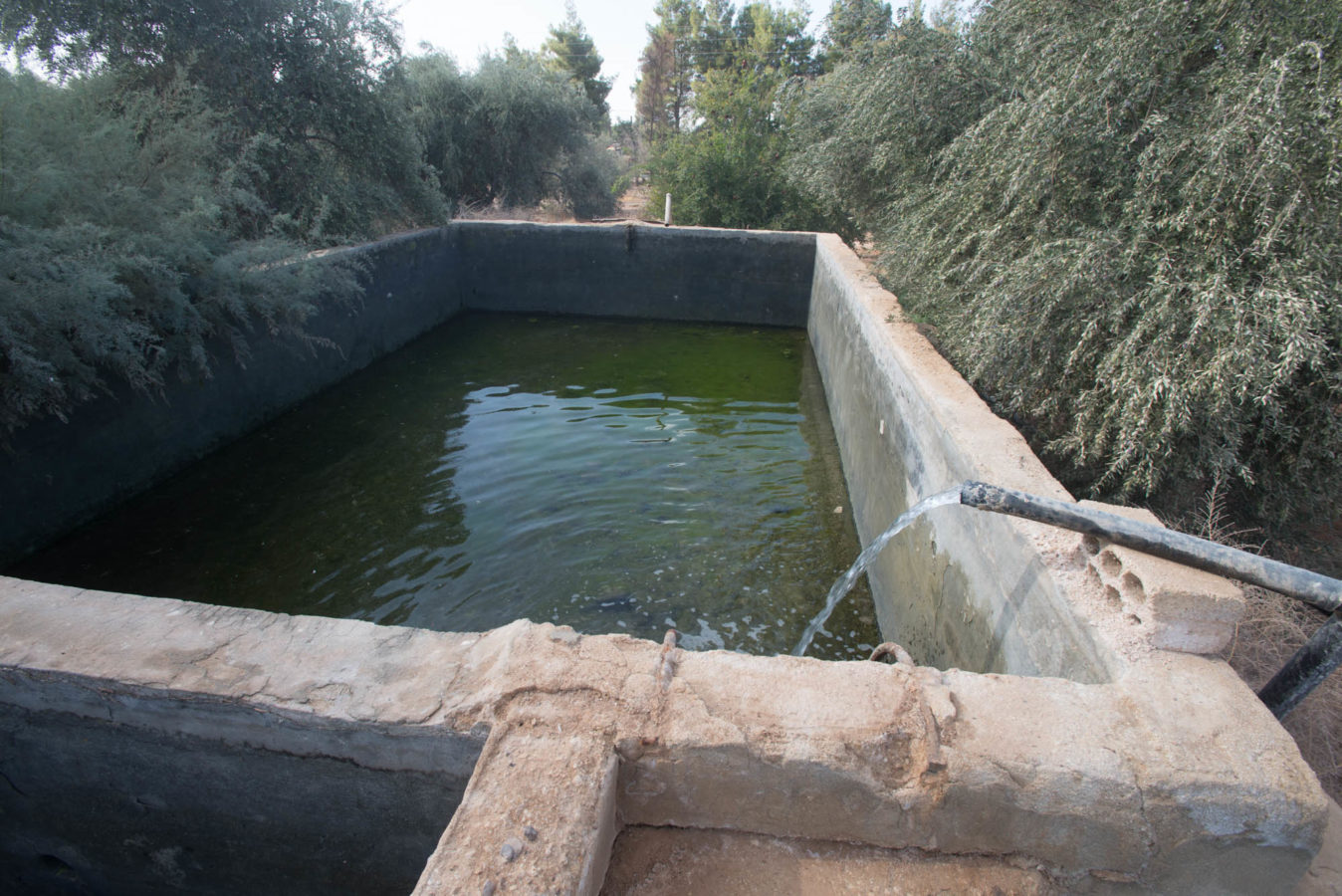 Jordan’s uncertain future in the climate change era