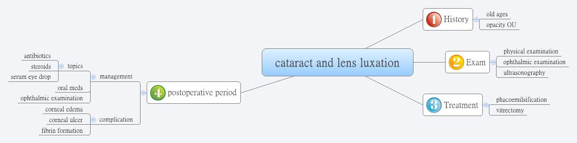 cataract and lens luxation | vet1223lynn - Xmind