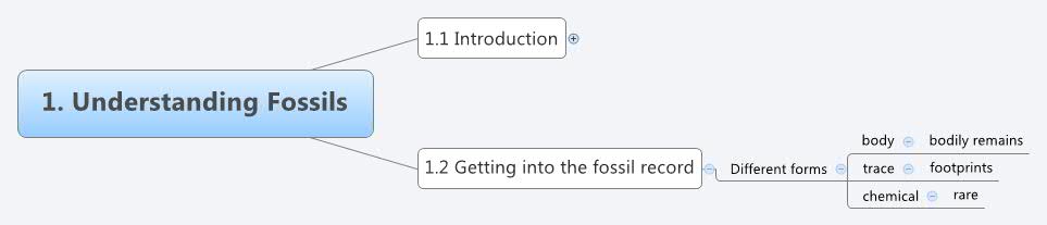 1. Understanding Fossils - XMind - Mind Mapping Software