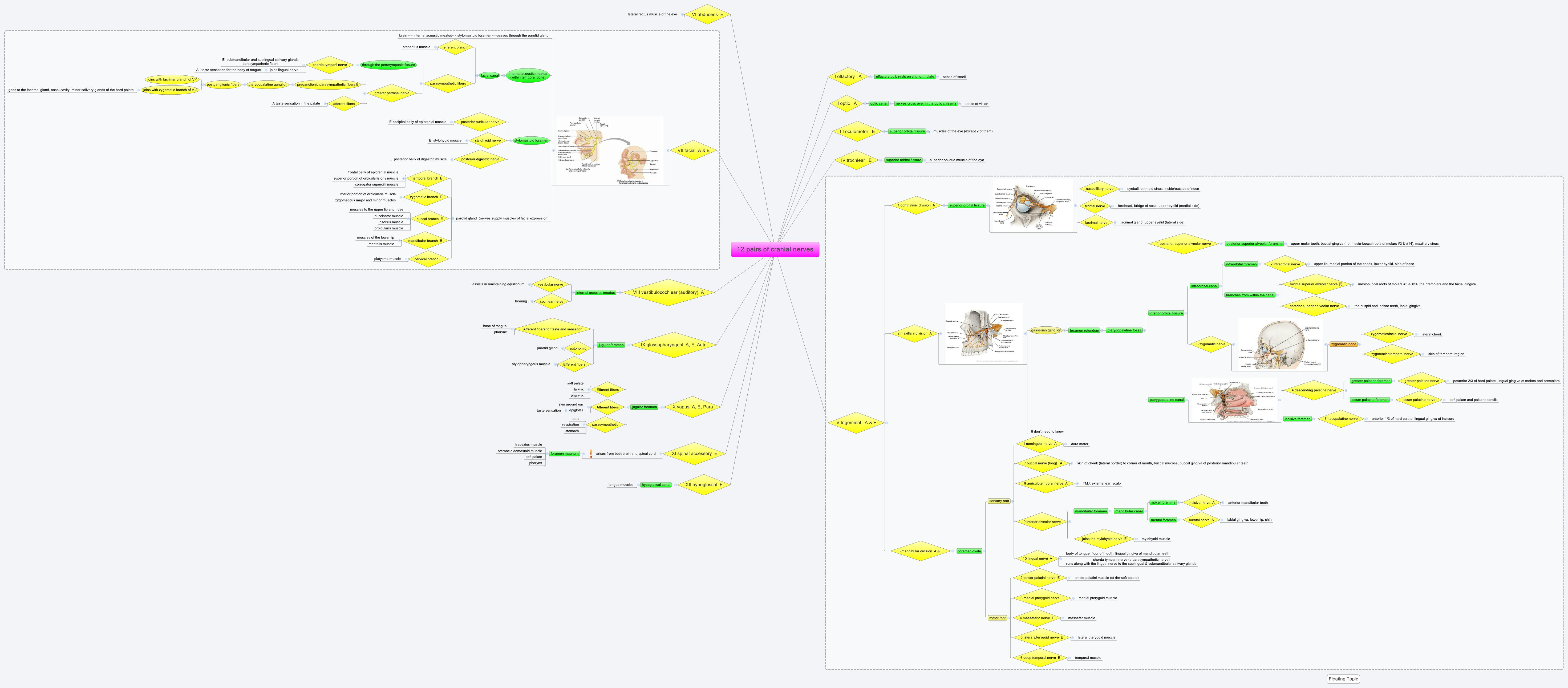 12 pairs of cranial nerves | tmarcou - Xmind