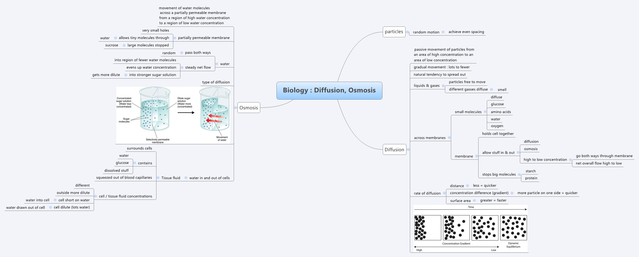 Biology : Diffusion, Osmosis - XMind - Mind Mapping Software