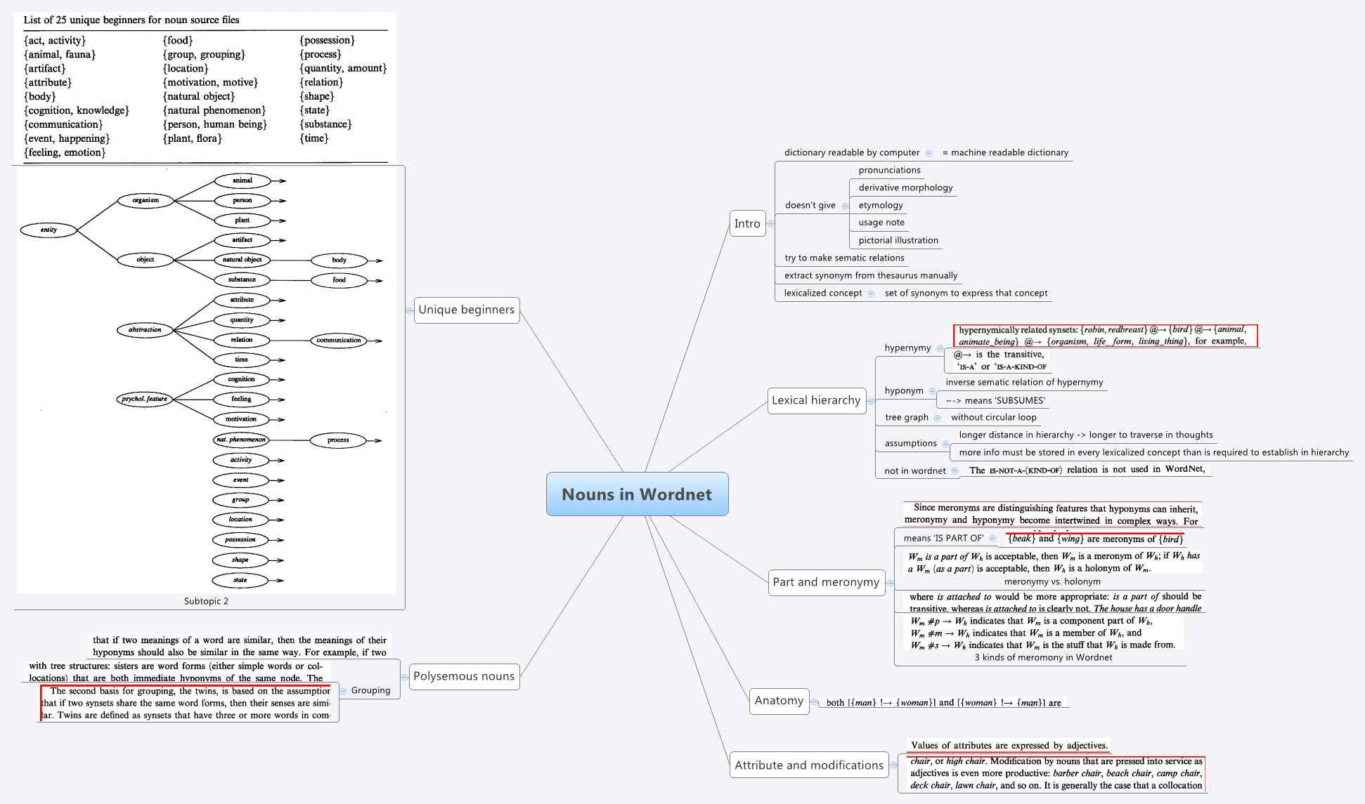 Nouns in Wordnet | Khoi Nguyen Duc Minh - Xmind