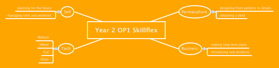 Year 2 OP1 Skillflex - XMind - Mind Mapping Software