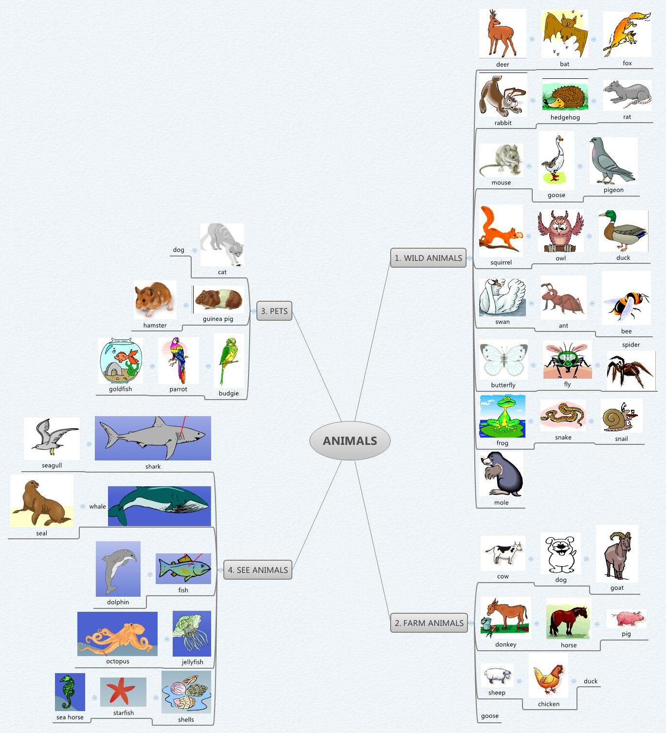 ANIMALS - XMind - Mind Mapping Software