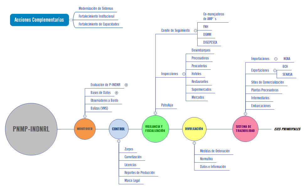 PNMP-INDNRL | TheBiologo - Xmind