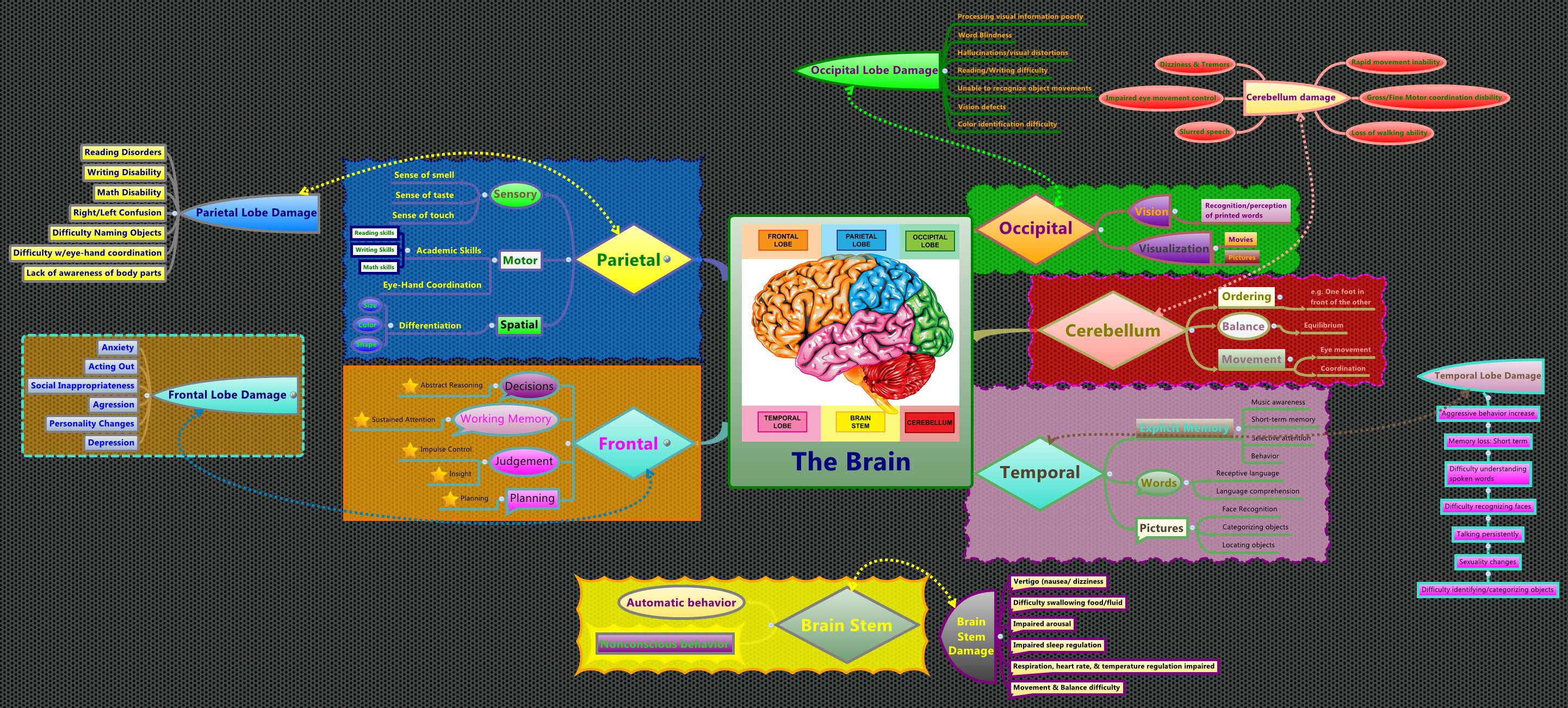 The Brain - XMind - Mind Mapping Software