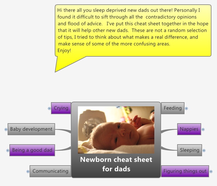 Newborn cheat sheet for dads - Xmind - Mind Mapping Software