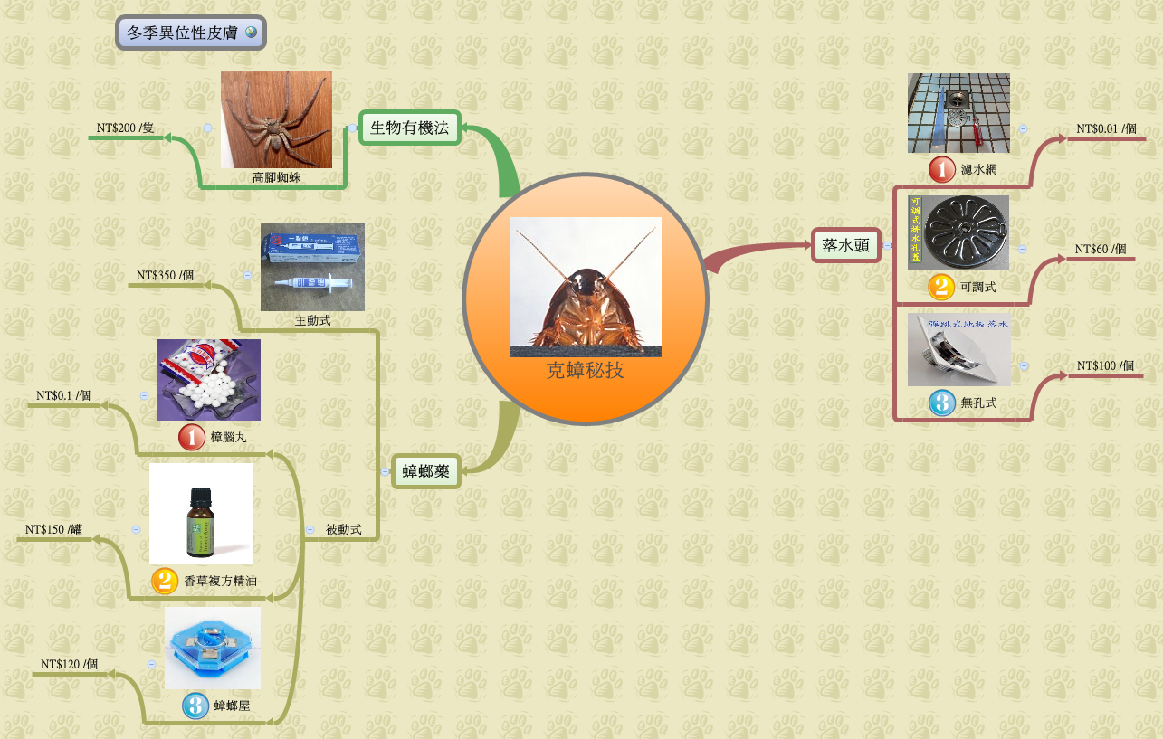 克蟑秘技 | Power Class - Xmind