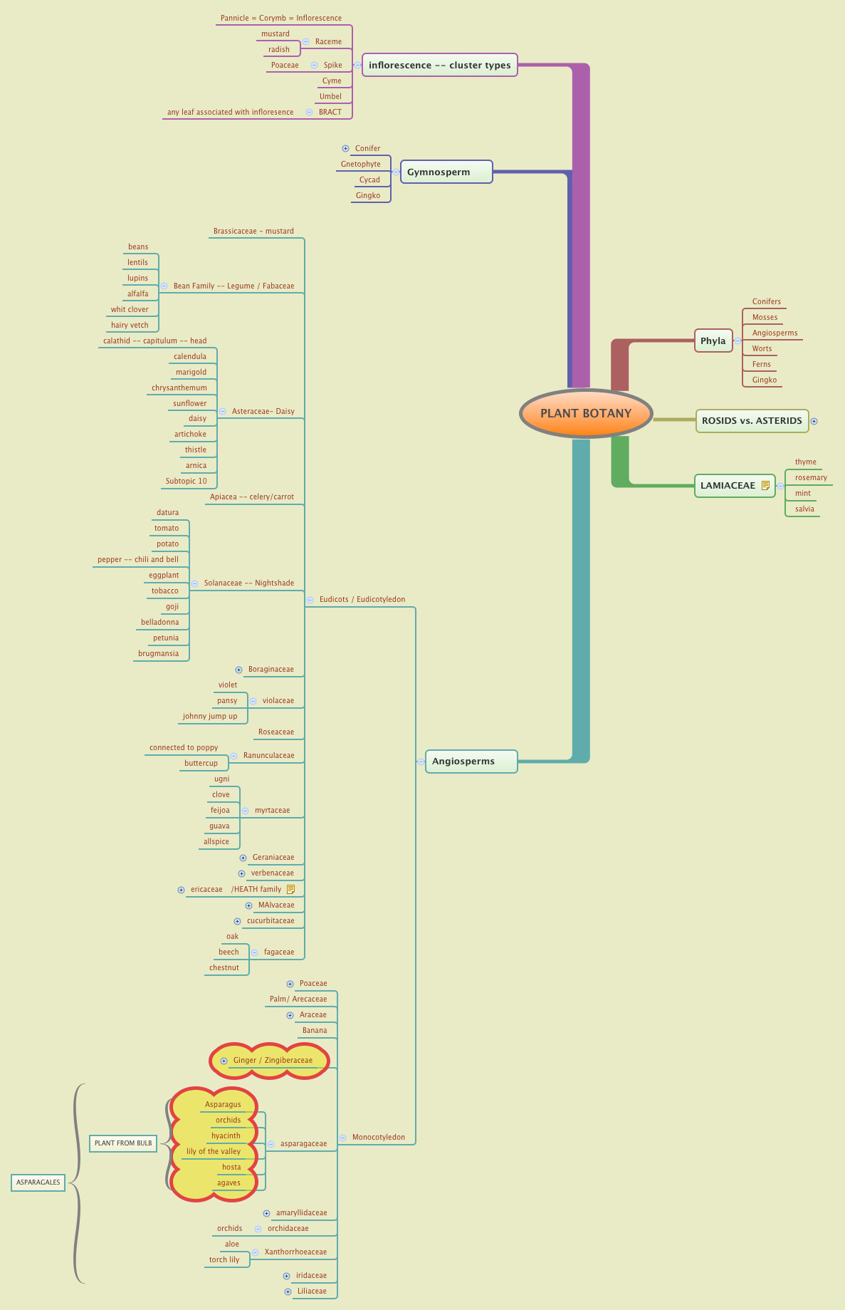 PLANT BOTANY - XMind - Mind Mapping Software
