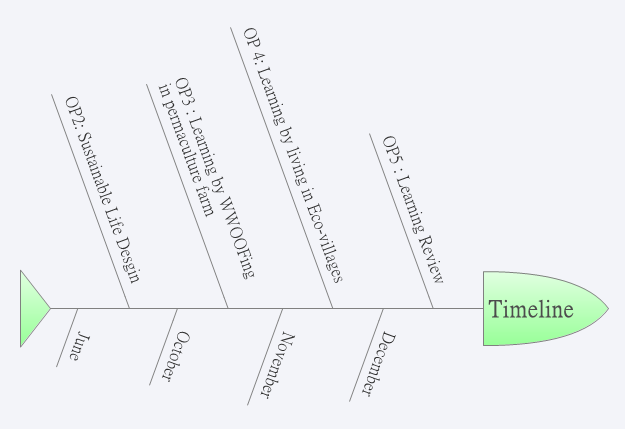 Timeline | amo622 - Xmind