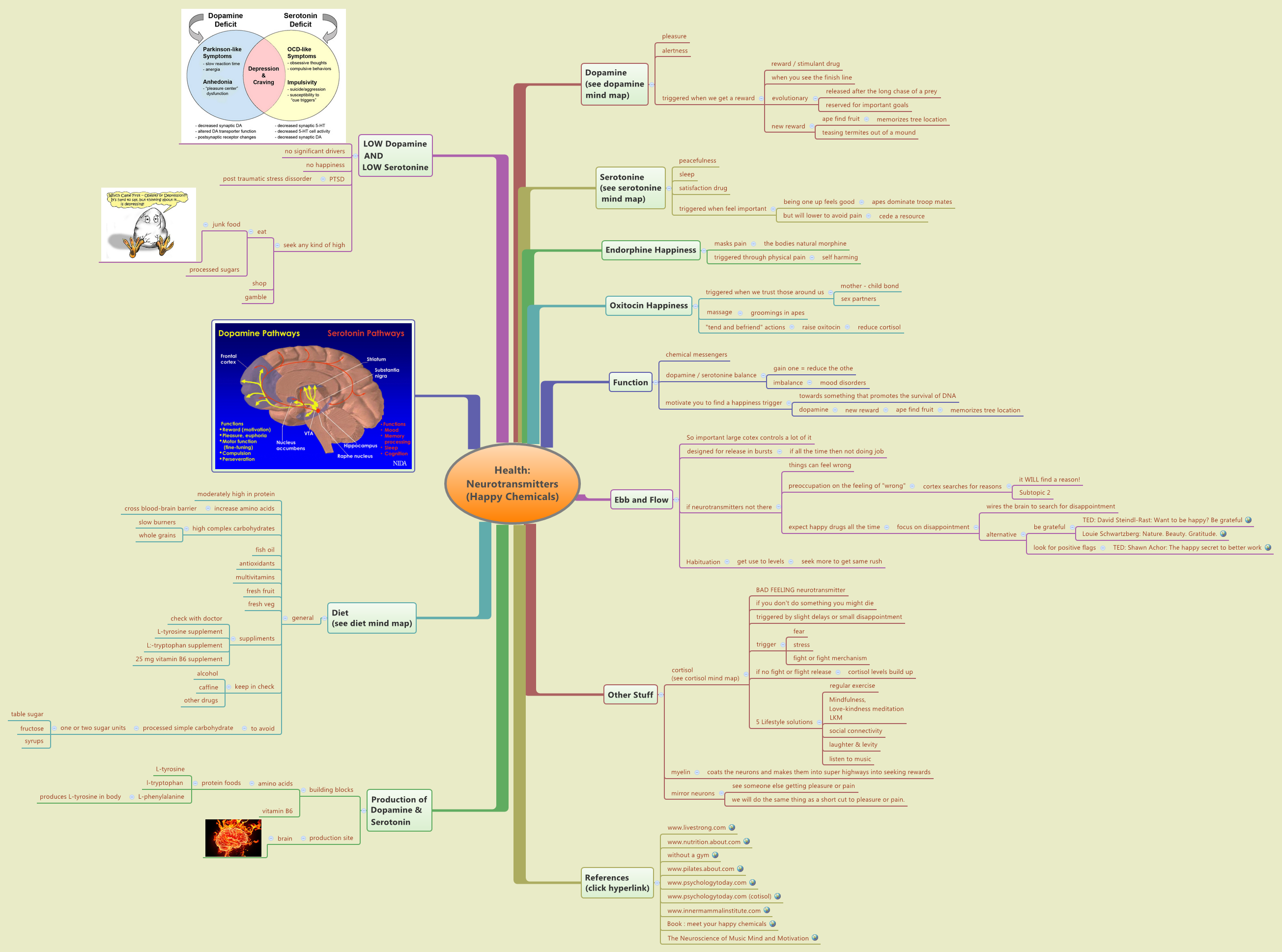 Health: Neurotransmitters (Happy Chemicals) - XMind - Mind Mapping Software
