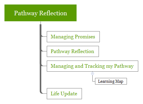 Pathway Reflection - Xmind - Mind Mapping Software