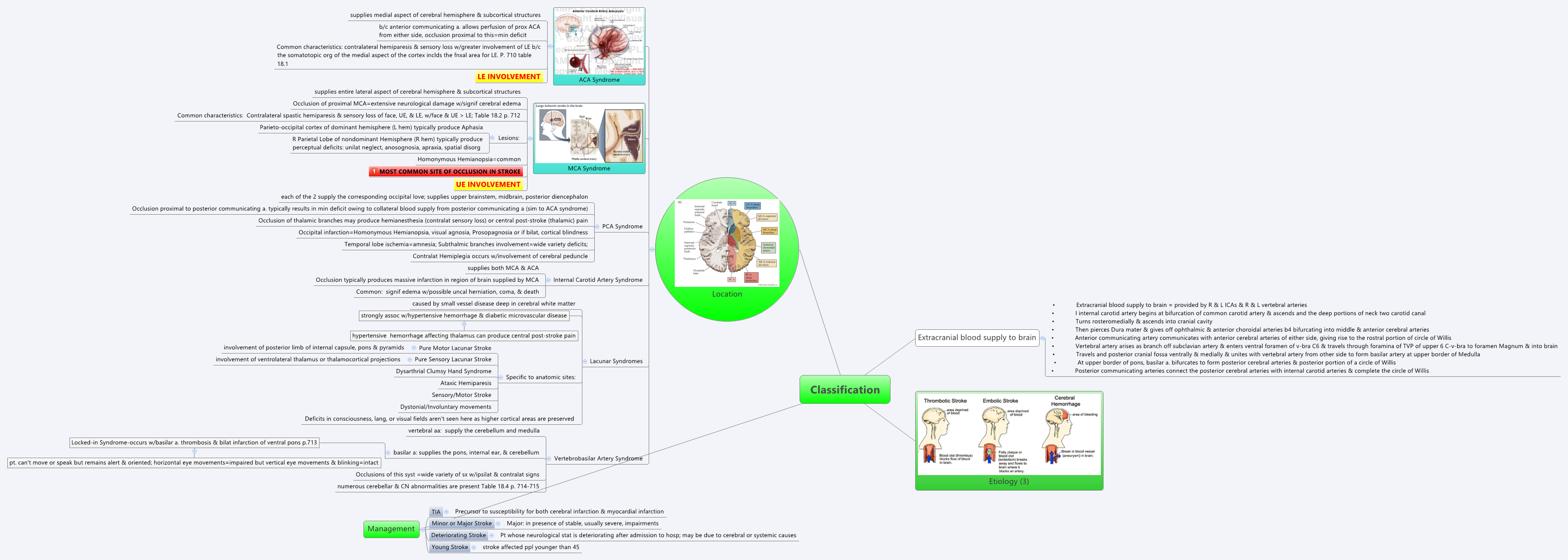 Classification - XMind - Mind Mapping Software