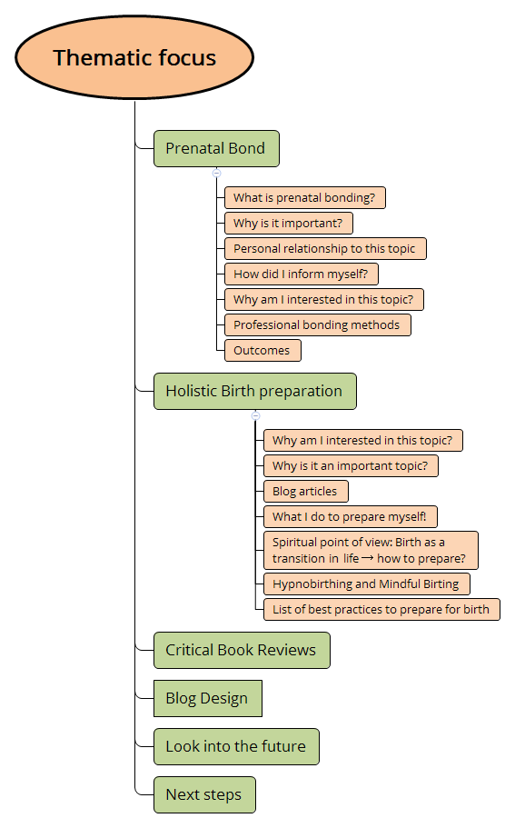 Thematic focus | Carolina-Therese - Xmind