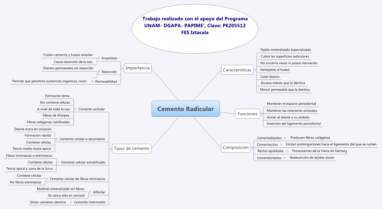 Cemento Radicular | Eduardo Stein Gemora - Xmind