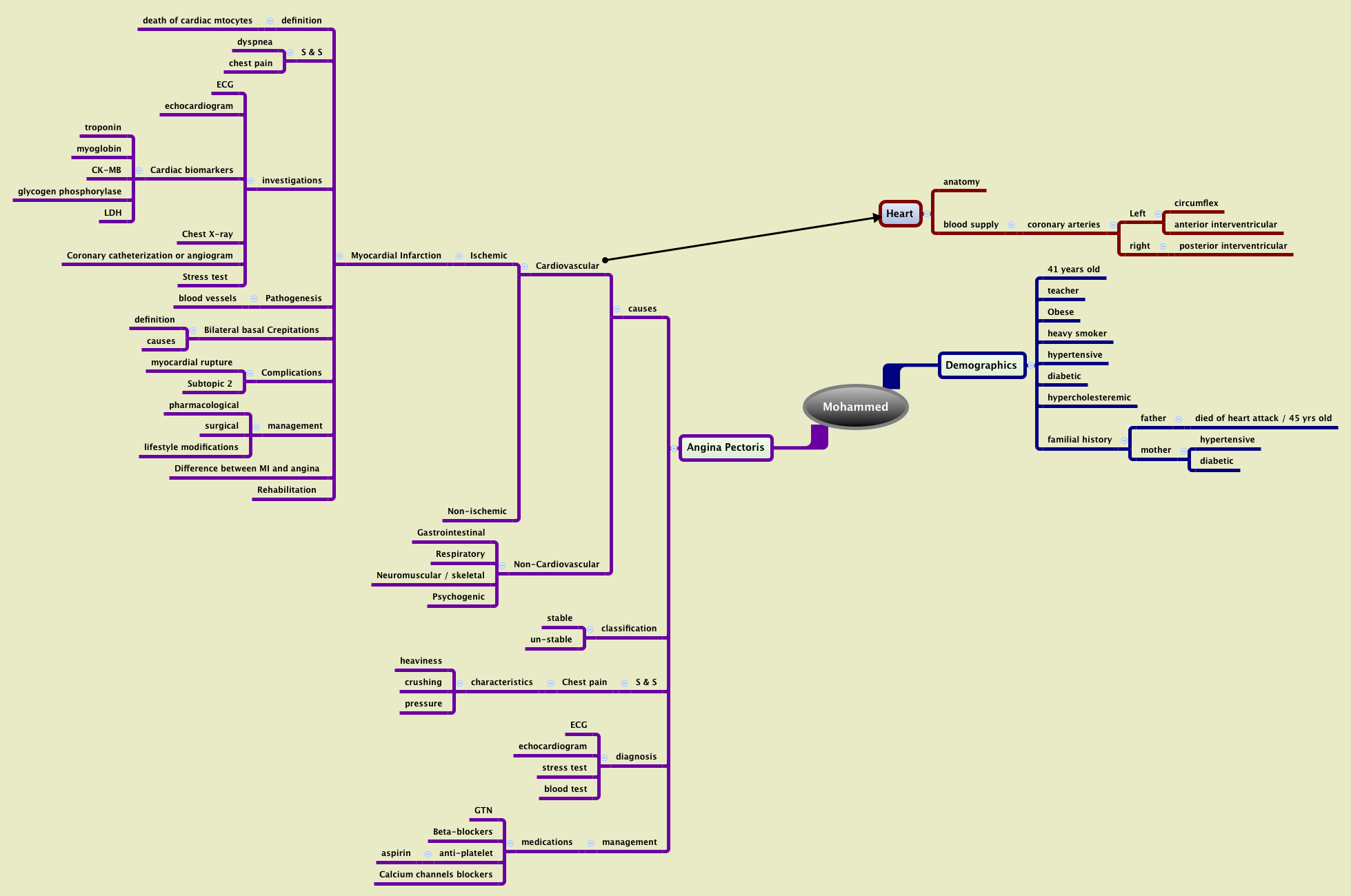 Mohammed - XMind - Mind Mapping Software