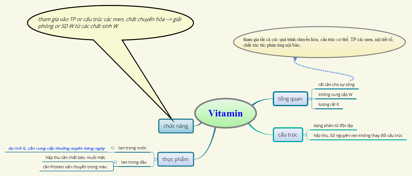 Vitamin - Xmind - Mind Mapping Software
