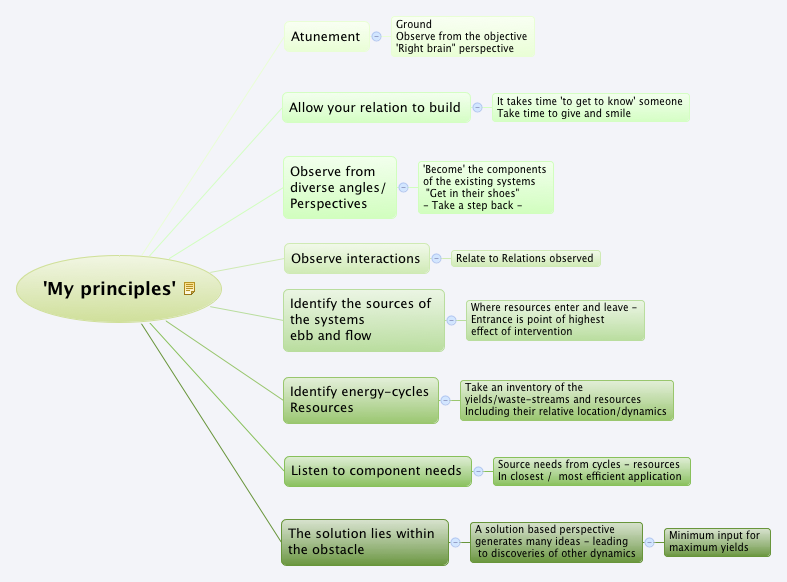 'My principles' | Simha Bode - Xmind