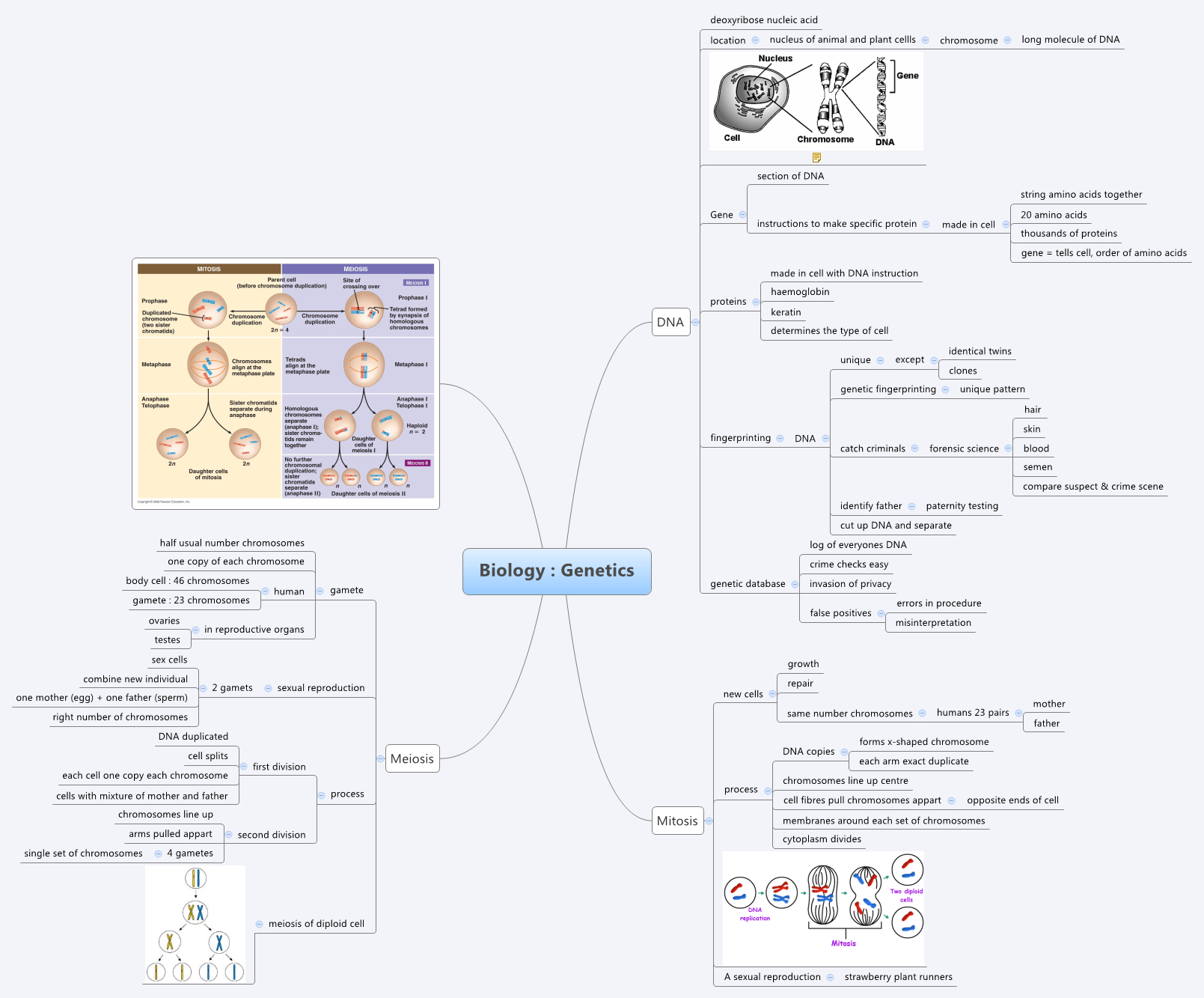 Biology : Genetics - XMind - Mind Mapping Software