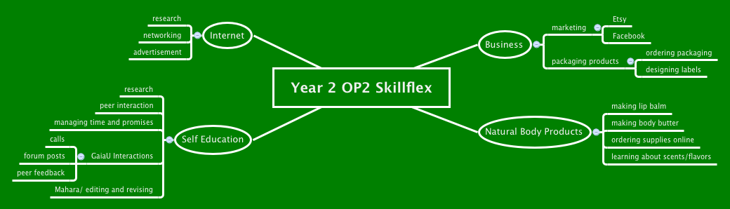 Year 2 OP2 Skillflex - XMind - Mind Mapping Software