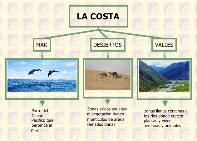 LA COSTA | nidiaesperanza - Xmind