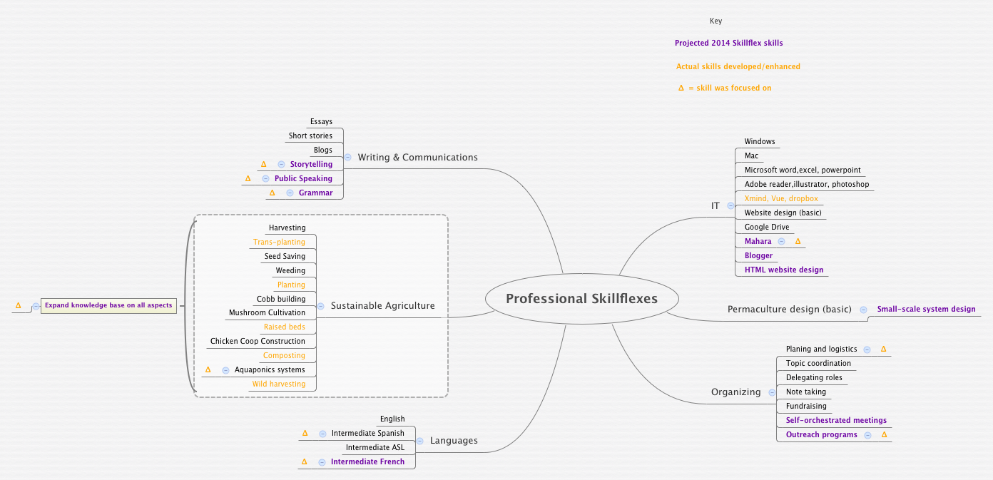 Professional Skillflexes - XMind - Mind Mapping Software