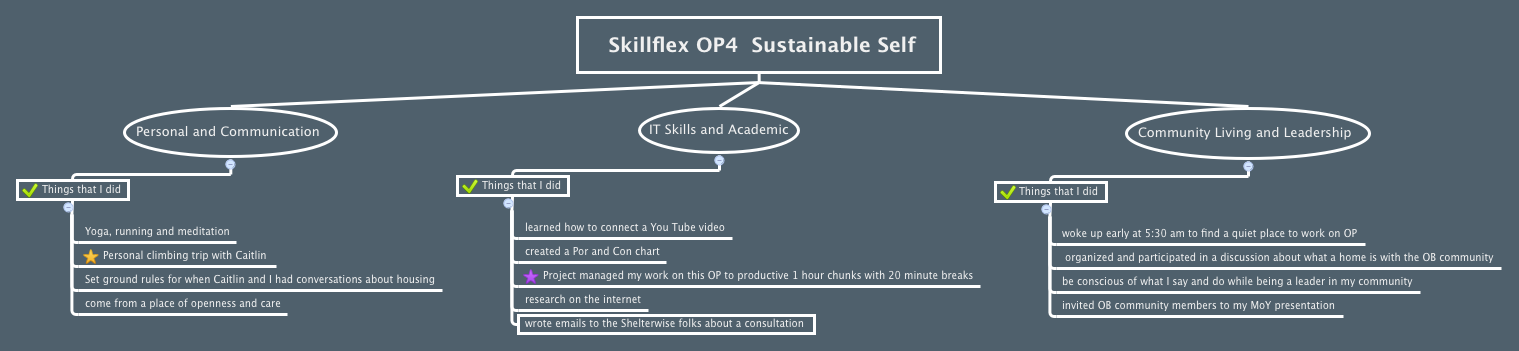 Skillflex OP4 Sustainable Self | Lawrence Schuessler - Xmind